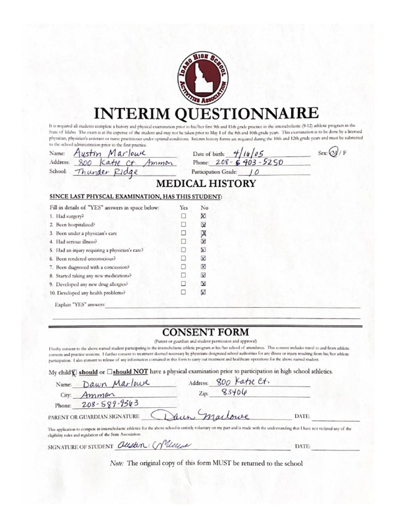 Interim Questionnaire | PDF