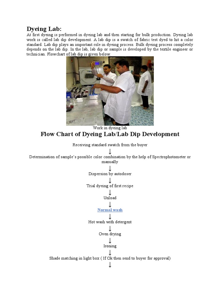Lab Dip Development | PDF | Dyeing | Dye