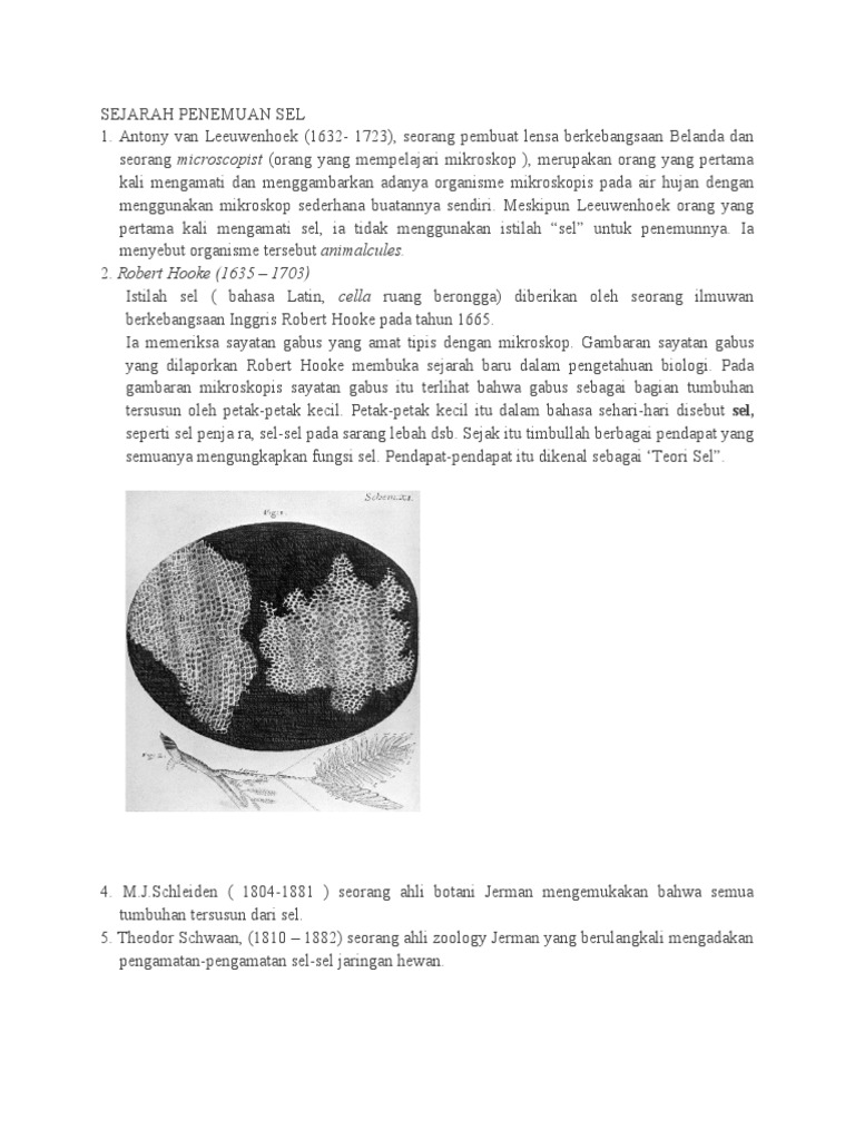 Sejarah Penemuan Sel Pdf
