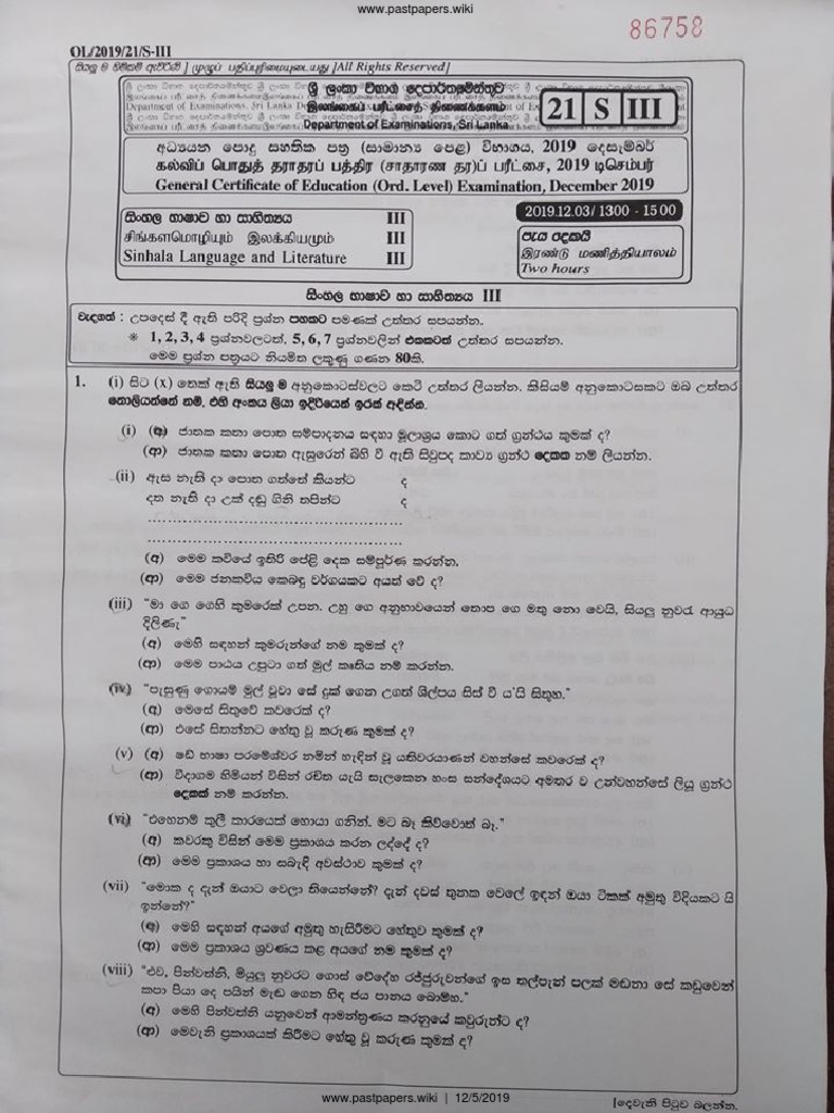 2019 O/L Sinhala Past Papers Guide | PDF