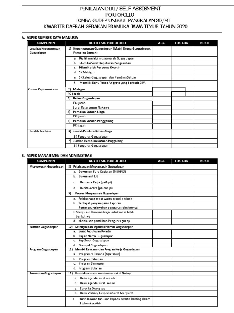 Instrument Self Asesment Sdmi Lgu 2020 | PDF
