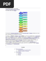 Animal Classification Charts | PDF | Invertebrate | Egg