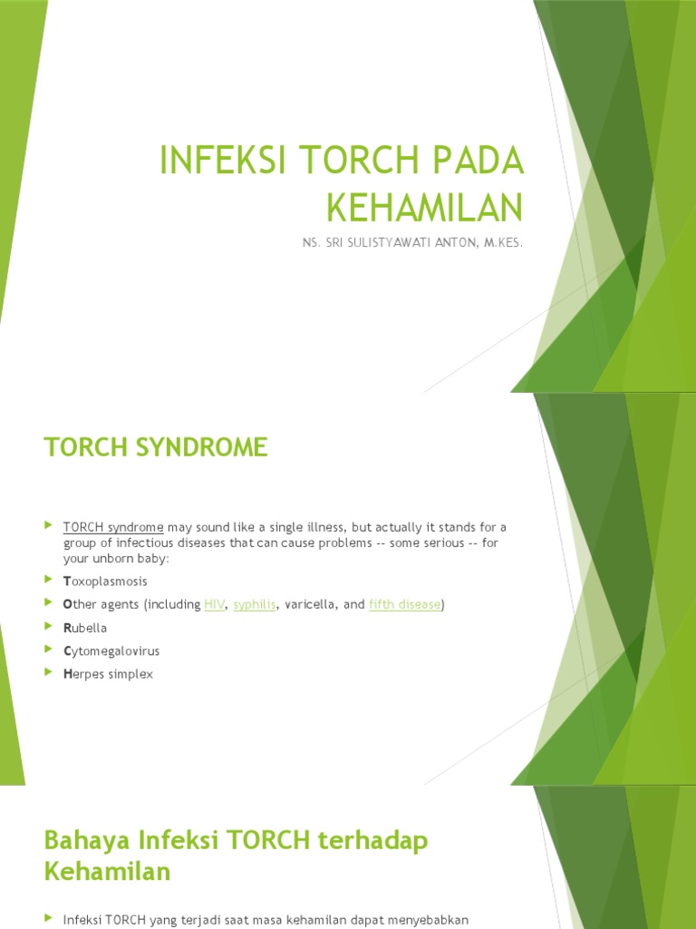 Infeksi Torch Pada Kehamilan | PDF