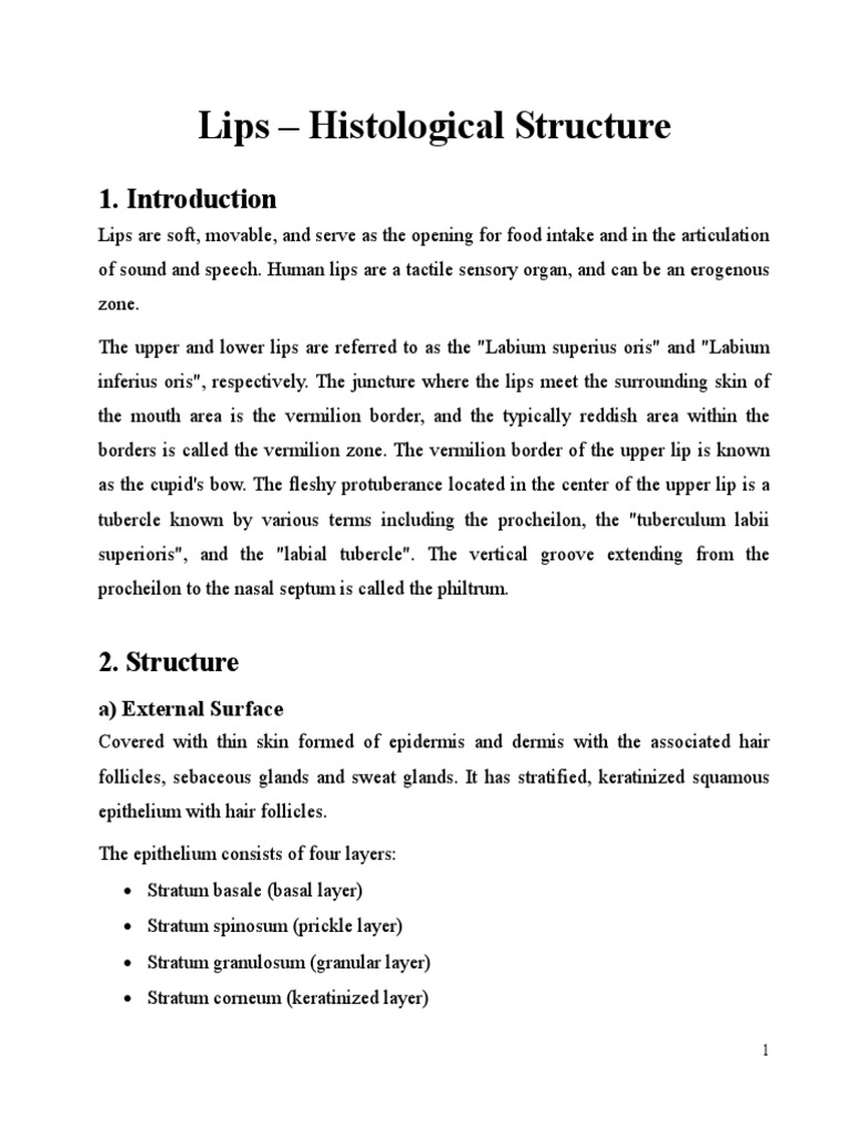 LIPS - Histological Structure | PDF | Lip | Primate Anatomy