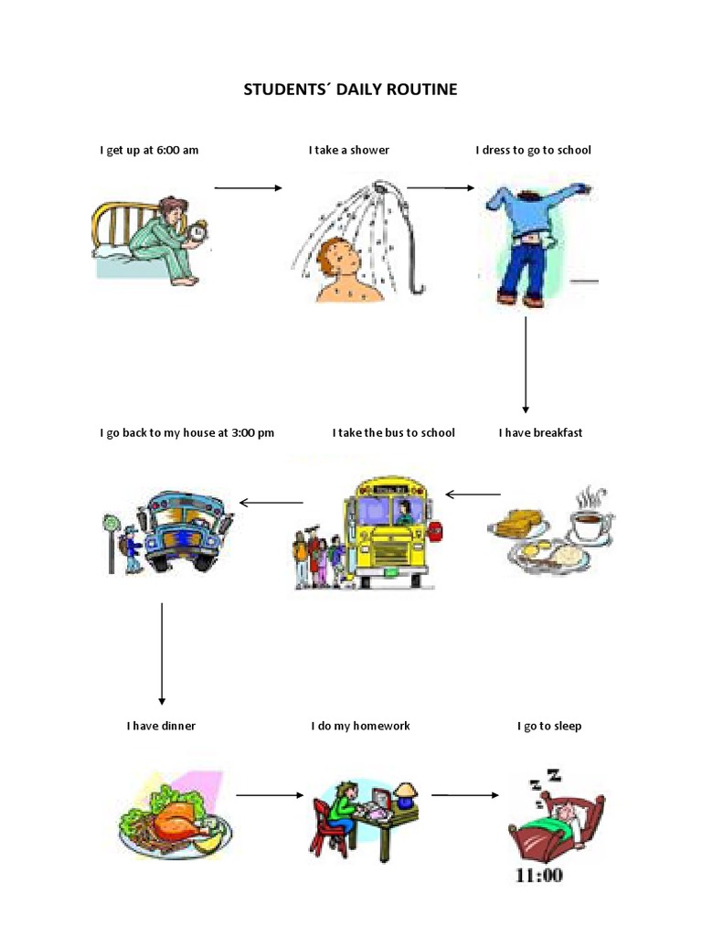 Daily Routine Mind Map in English | PDF