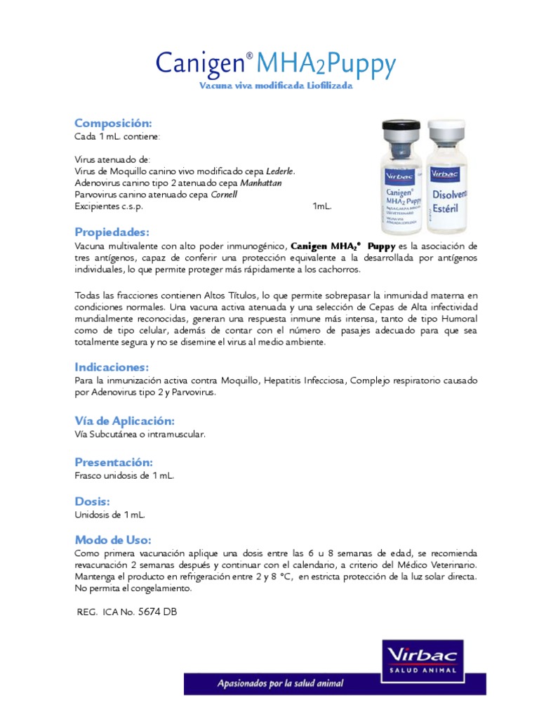 Canigen Puppy PDF | PDF