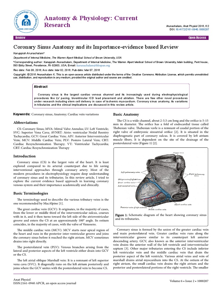 Anatomía Del Seno Coronario y Su Importancia, Revisión Basada en La Evidencia | PDF | Atrium ...