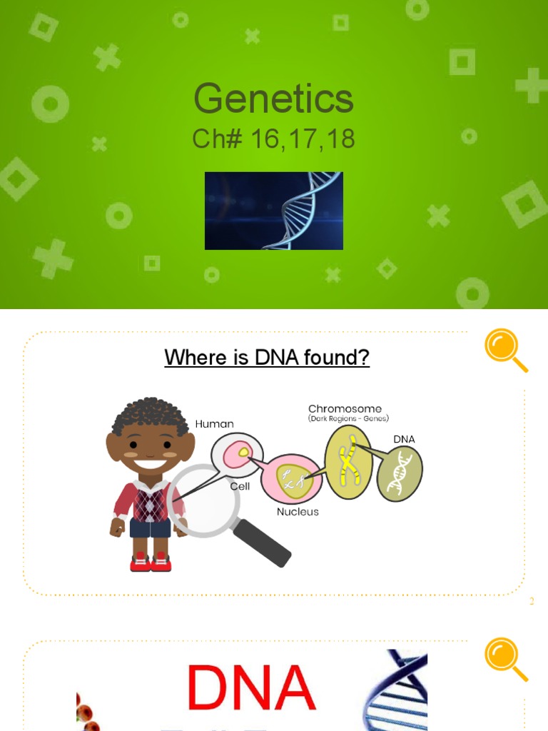 Genetics: This Is Your Title | PDF
