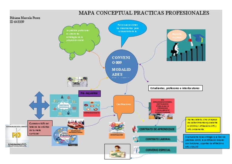 Mapa Conceptual Practica Profesional | PDF | Business