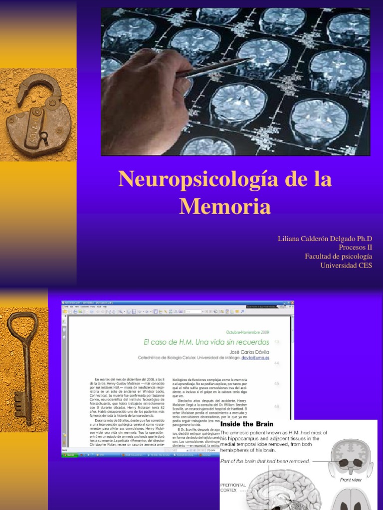Neuropsicologia De La Memoria Pdf Pdf Amnesia Memoria De Trabajo
