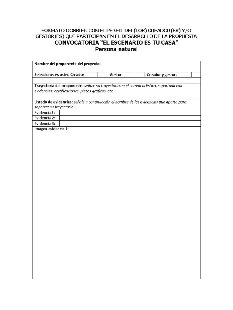 Formato Dossier PDF | PDF