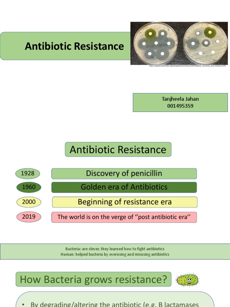 Antibiotic Resistance | PDF | Antimicrobial Resistance | Bacteria