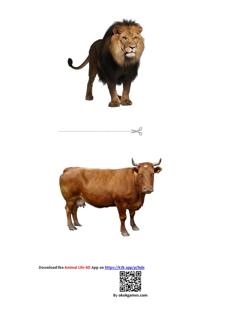 Animal Life 4D App Download | PDF | Games & Activities