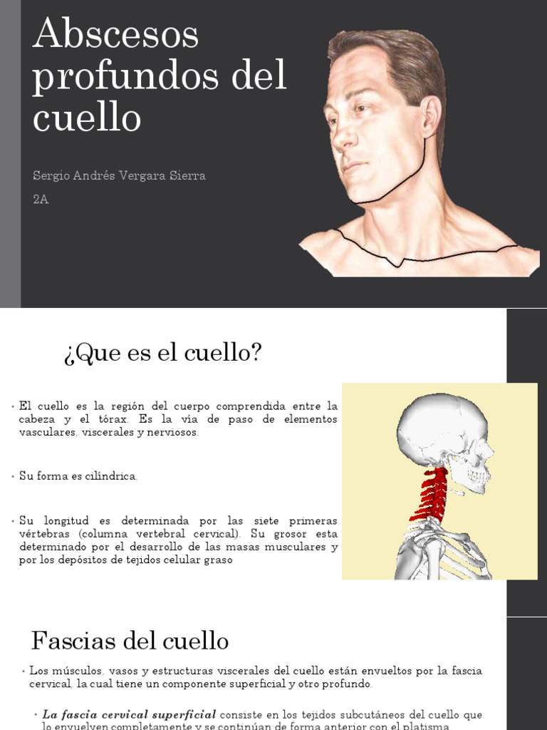 Abscesos Profundos Del Cuello | PDF | Medicina | Medicina CLINICA