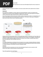 Comprobando el Experimento de Redi | PDF | Science | Método científico