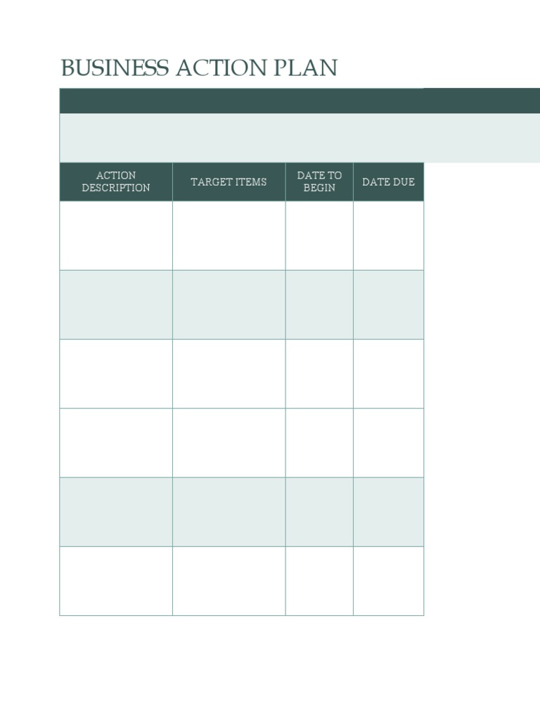 Business Action Plan | PDF