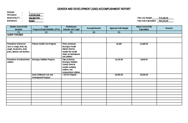 Gender and Development (Gad) Accomplishment Report | PDF