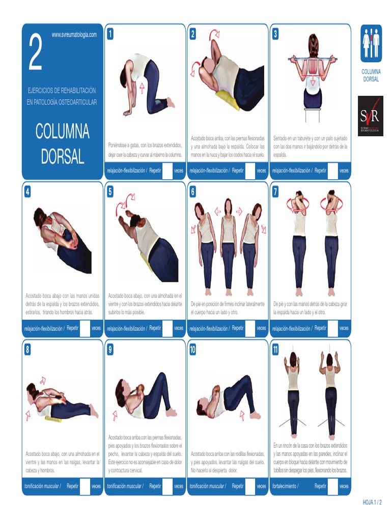 Ejercicios de rehabilitación para la columna dorsal y consejos sobre su cuidado | PDF | Dolor ...