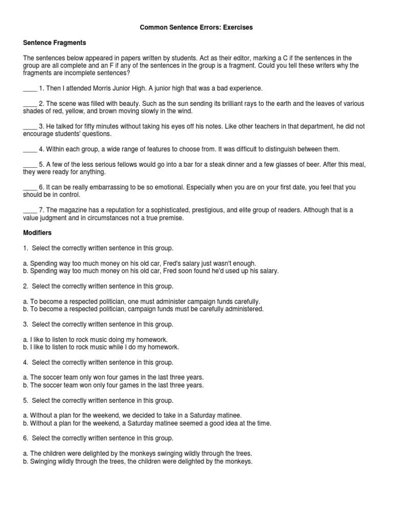 Common Sentence Errors - Exercises | PDF | Grammatical Number | Plural