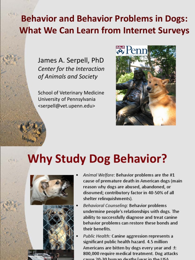 Behavior and Behavior Problems in Dogs: What We Can Learn From Internet ...