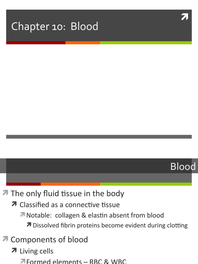 Chapter 10 Blood | PDF | Blood Type | Granulocyte