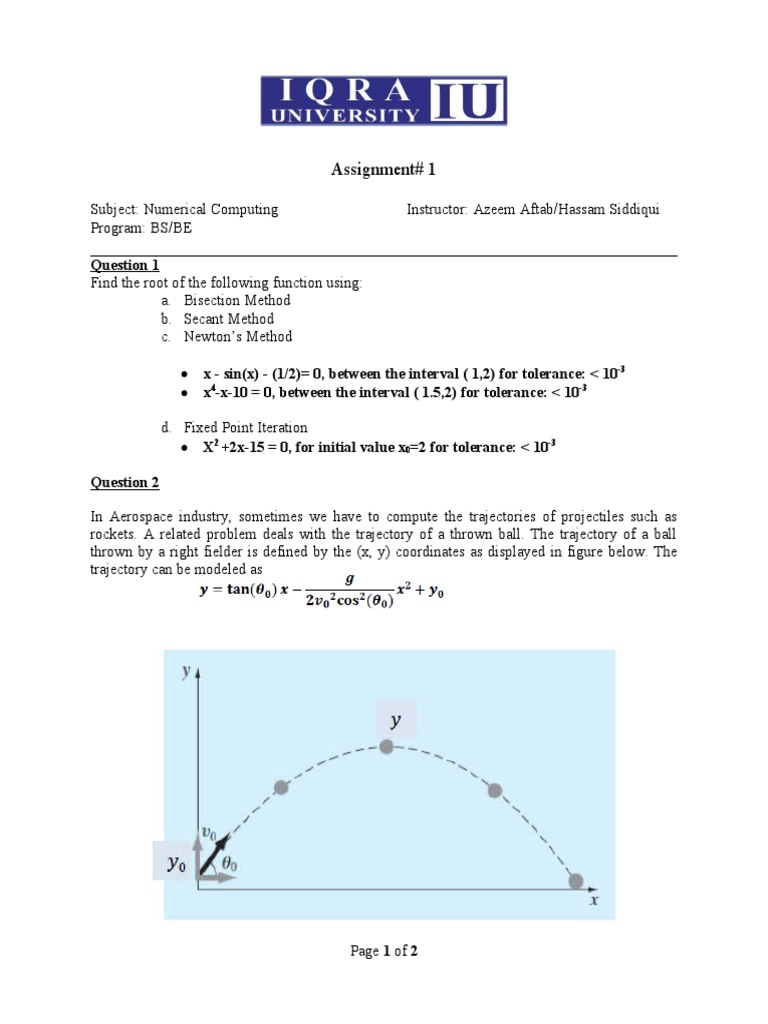Numerical Computing Assignment | PDF