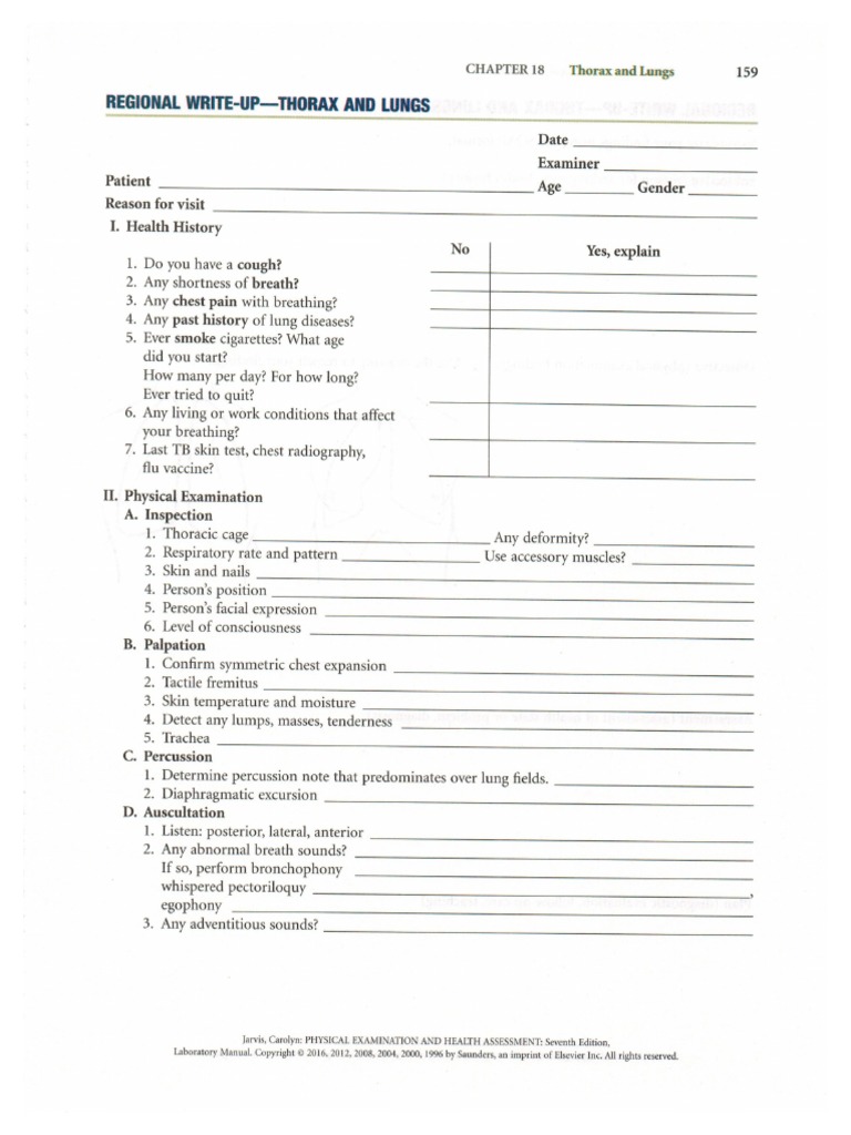Thorax - Lungs Lab Activity | PDF