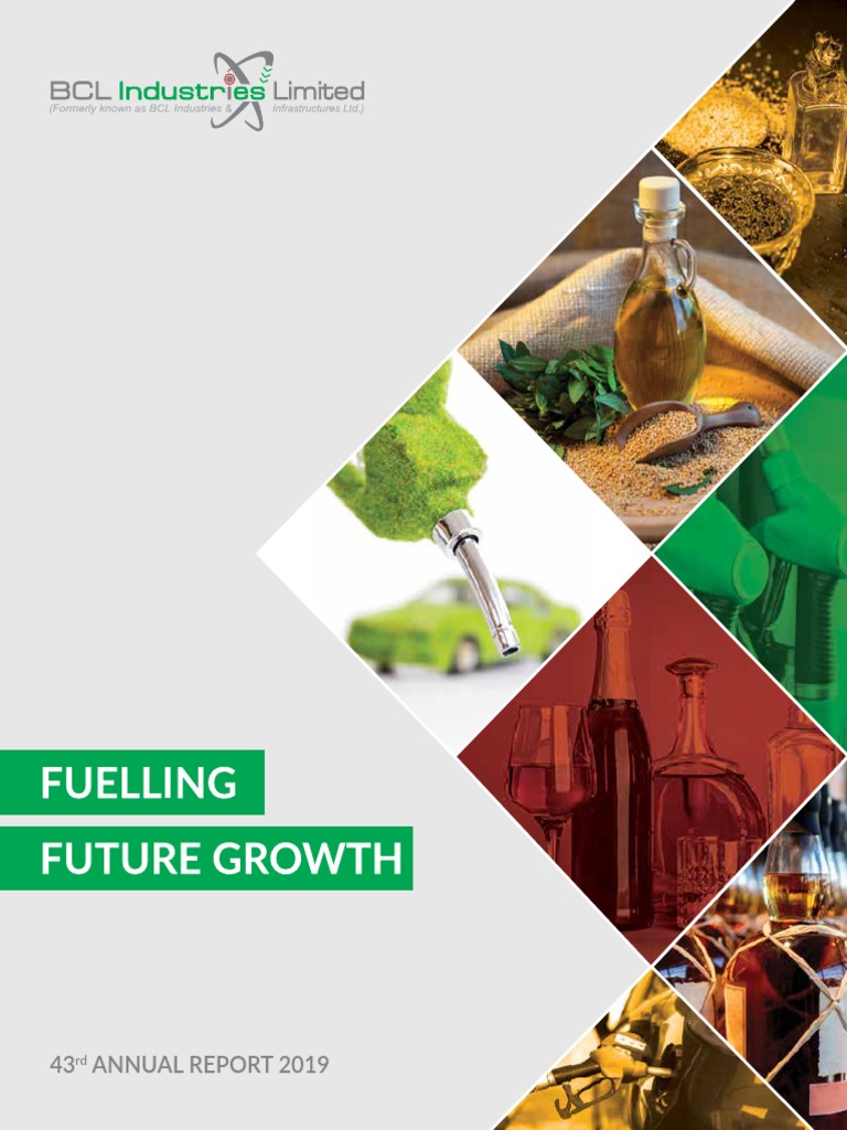 BCL Final Annual Report 24 08 2019 PDF | Download Free PDF | Economy Of ...