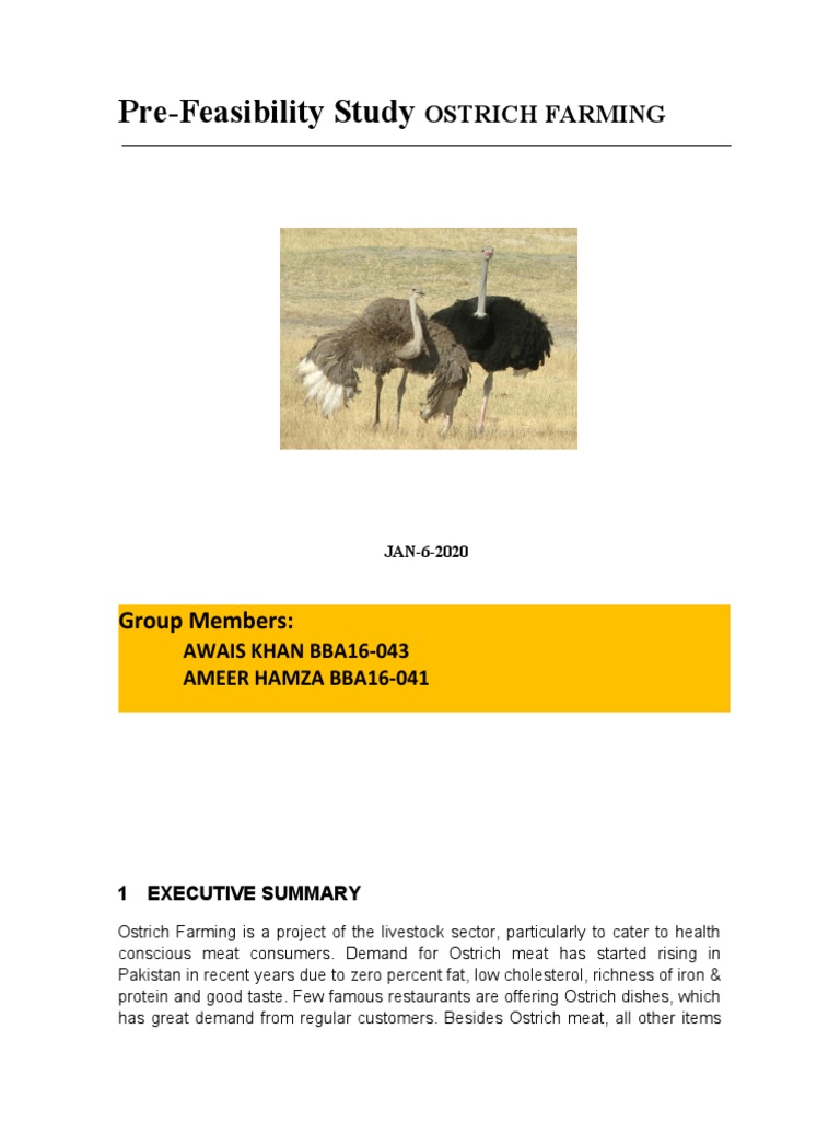 Ostrich Farming Jun-Report | PDF | Meat | Internal Rate Of Return
