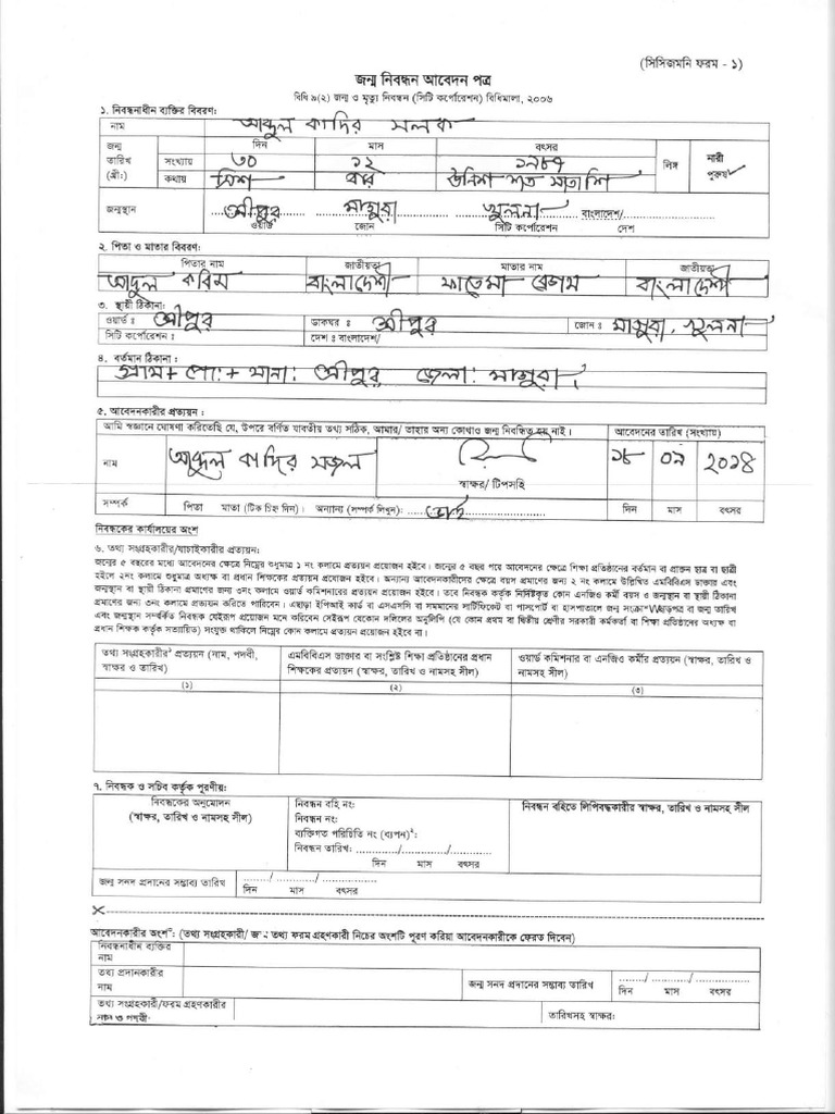 DNCC - Birth Registration Form Sample PDF | PDF