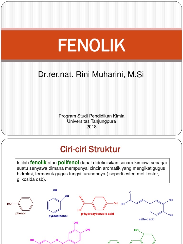 Struktur dan Klasifikasi Senyawa Fenolik | PDF
