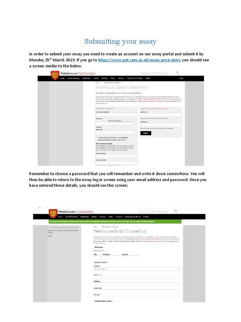Essay Submission Guide | PDF
