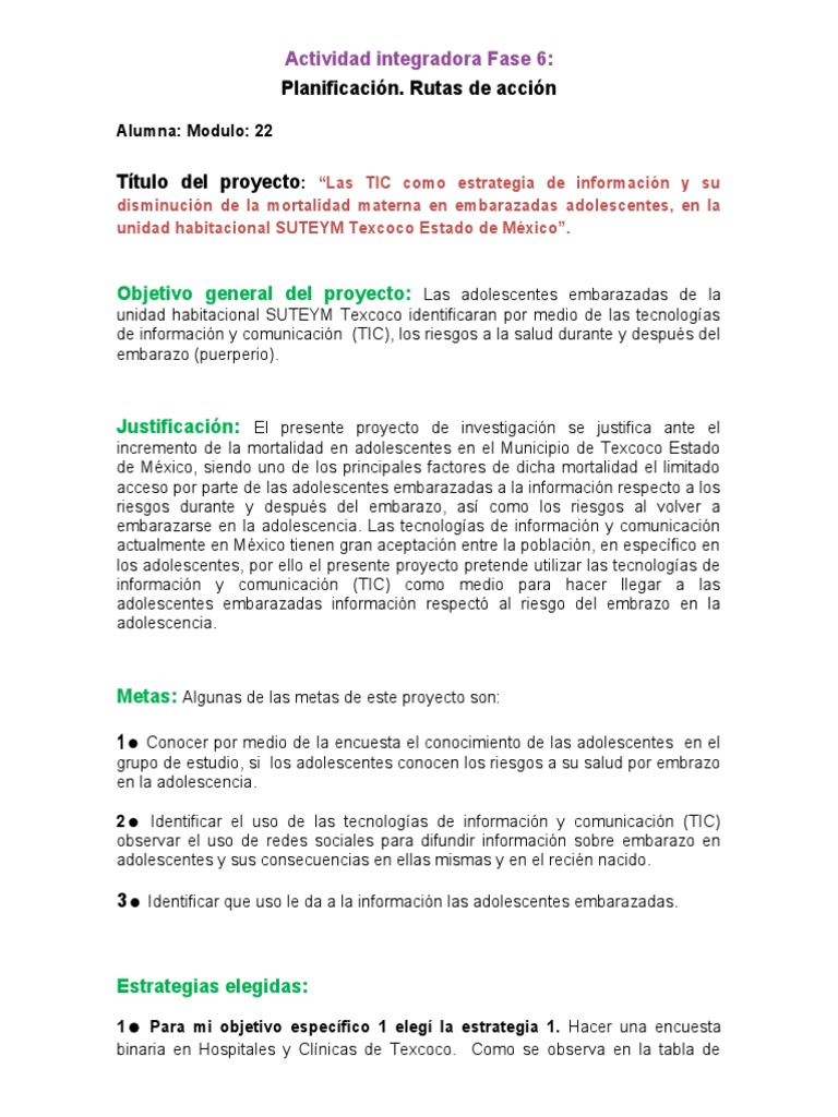 Planificación Rutas de Acción | Descargar gratis PDF | Adolescencia | Tecnología de información ...