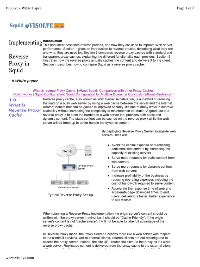 Implementing Reverse Proxy in Squid: Visolve - White Paper Page 1 of 6 | PDF | Proxy Server ...