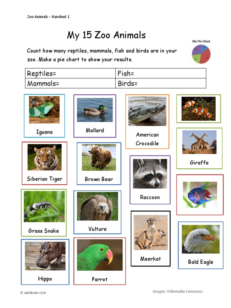 Zoo Animals Handout For Charting 01 | PDF
