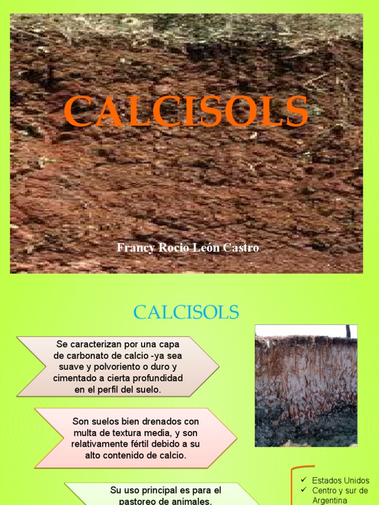 Características de los Calcisoles | PDF | Agua subterránea | Suelo