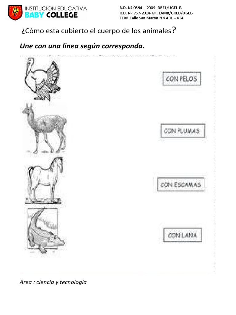 Cobertura del Cuerpo de los Animales | PDF | Ciencia y matemáticas