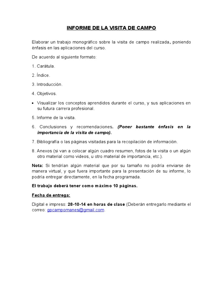 Modelo Del Informe de Visita de Campo - DG | PDF