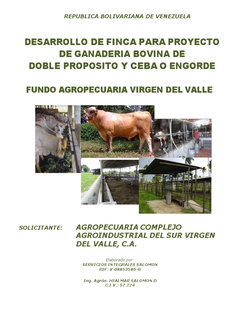 Desarrollo de Finca para Proyecto de Gan | PDF | Vacas | Agricultura