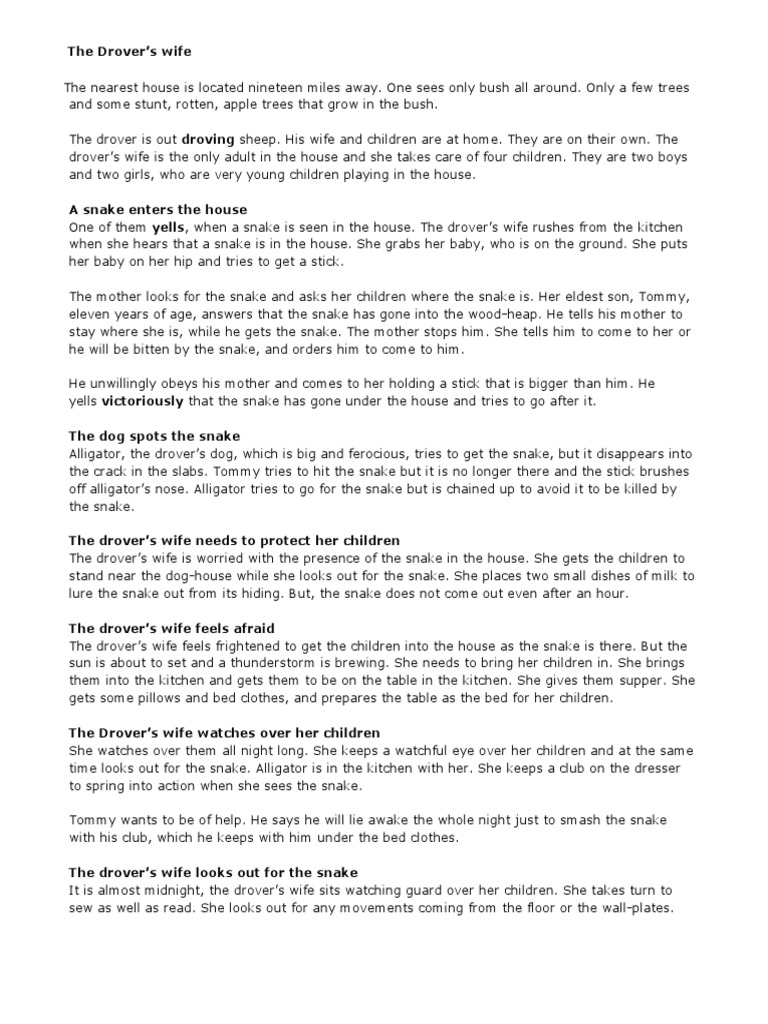 The Drover's Wife | PDF