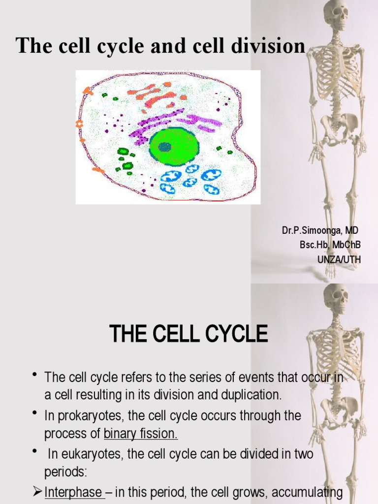 2-Cell Cycle and Cell Division | PDF | Meiosis | Mitosis