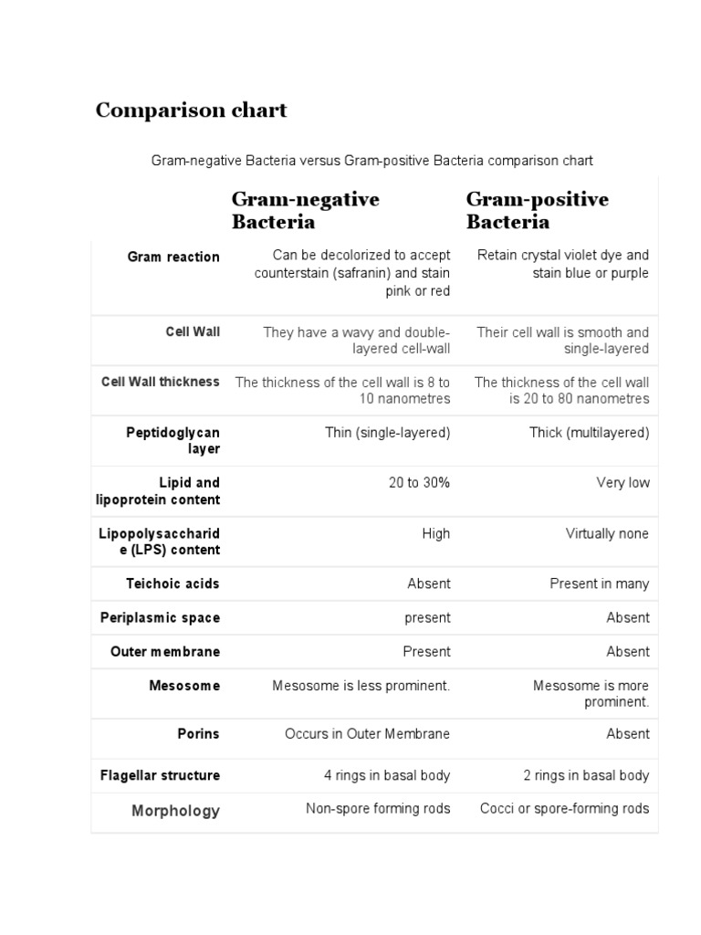 Gram-negative vs Gram-positive Bacteria Comparison Chart | PDF | Gram ...