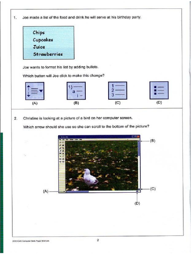 Digital ICAS 2010 Paper B | PDF