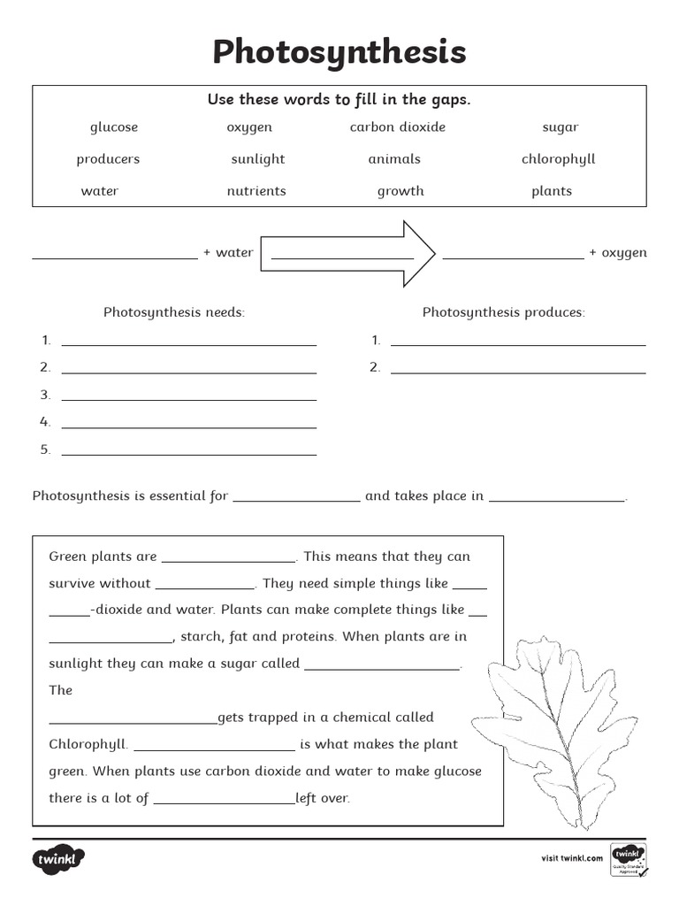 Photosynthesis: Use These Words To Fill in The Gaps | PDF ...