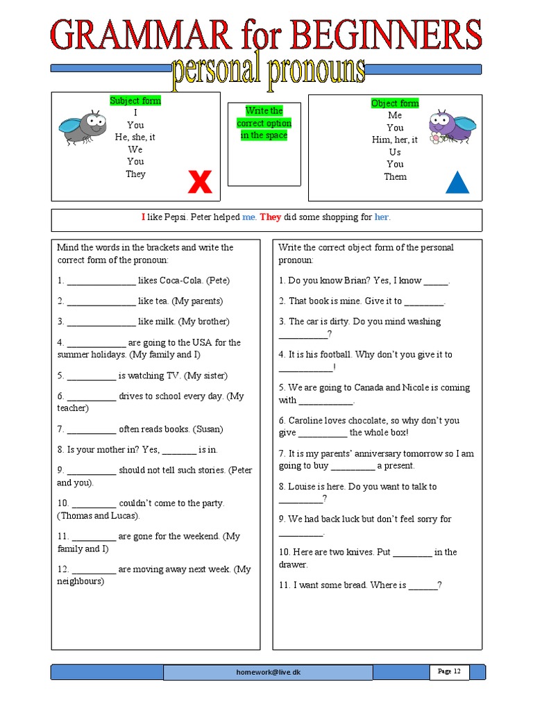 Grammar For Beginners - Personal Pronouns | PDF