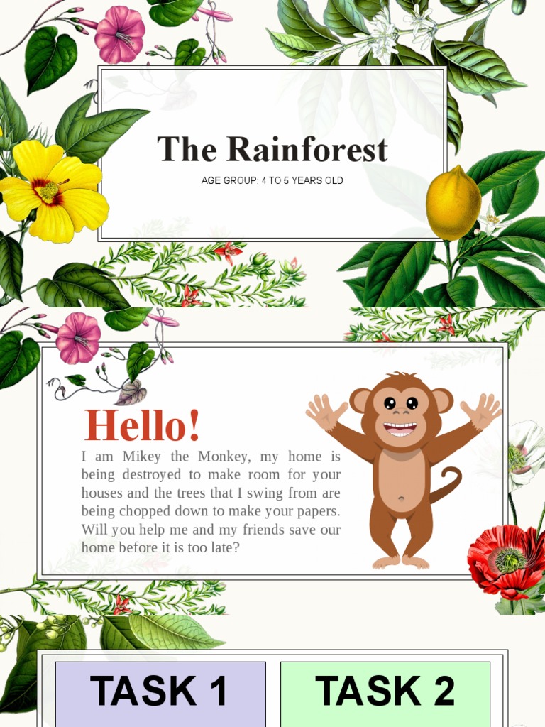 Rainforest | PDF