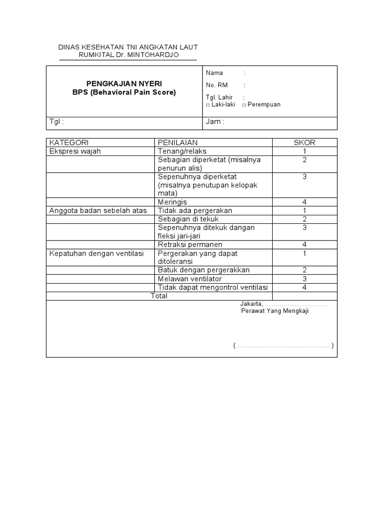 Pengkajian Nyeri BPS | PDF