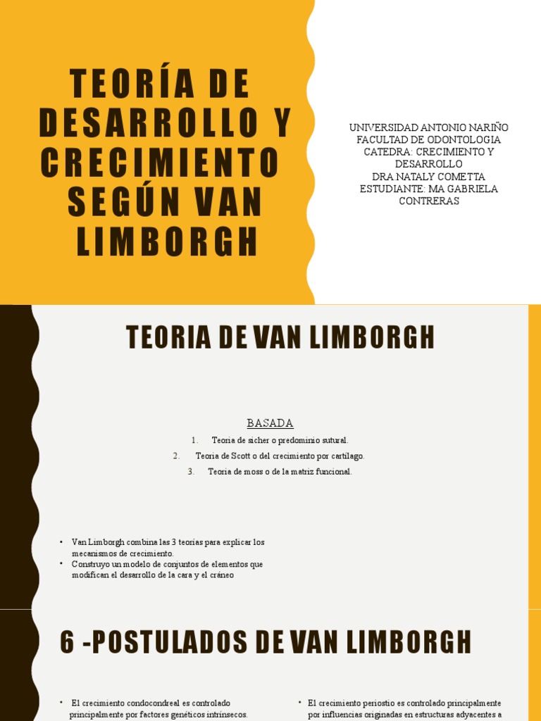 Teoría de Crecimiento según Van Limborgh | PDF | Epigenética | Anatomía