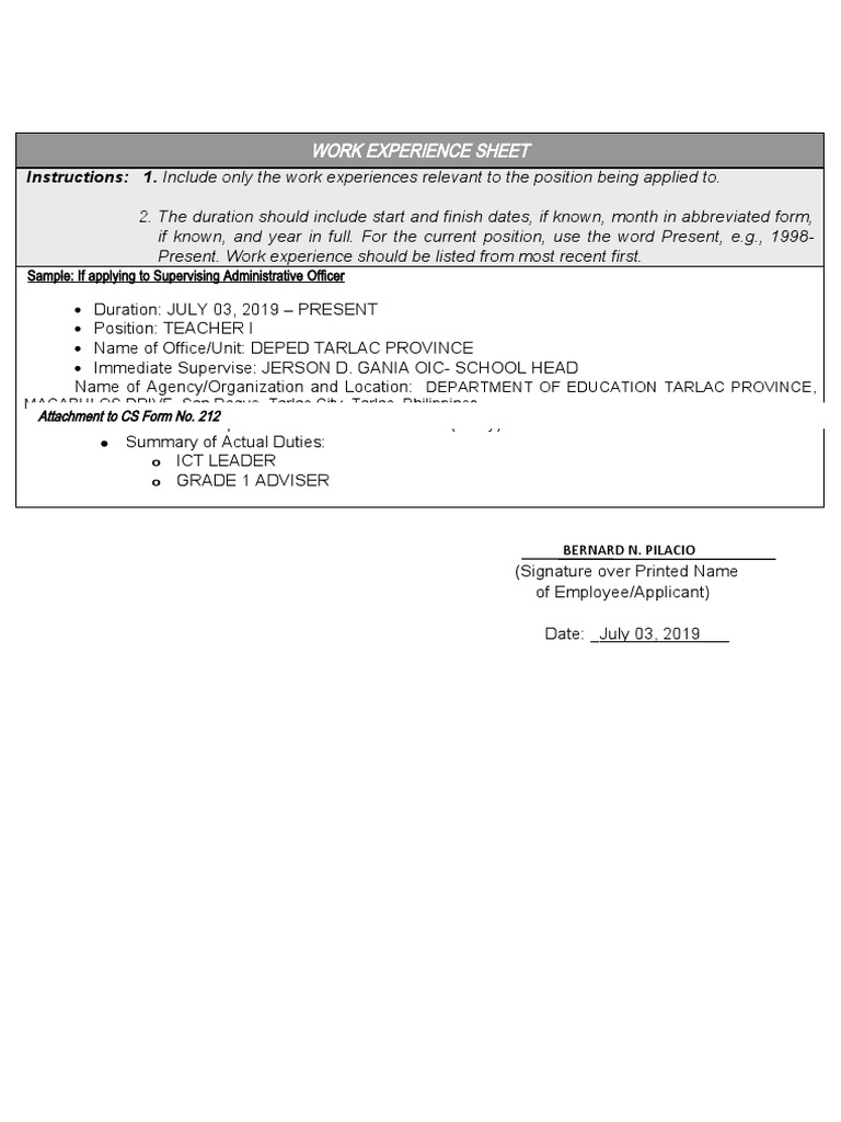 Work Experience Sheet | PDF