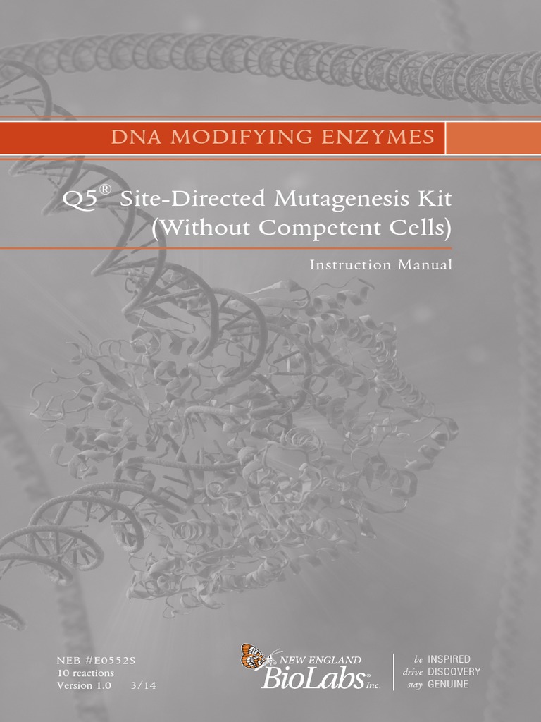 Q5 Site-Directed Mutagenesis Kit (Without Competent Cells) : Dna ...